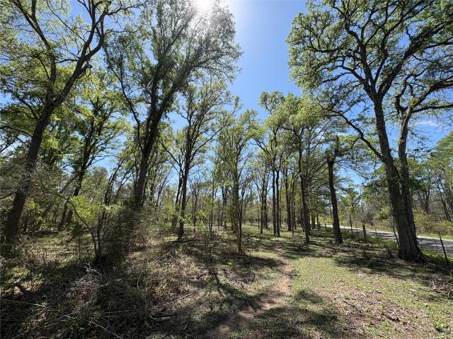 1285 Burdette Wells Rd, Lockhart, TX 78644 | MLS #4661