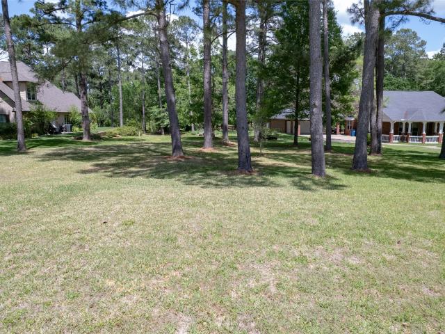 12868 Aries Loop, Willis, TX 77318 | MLS #11880