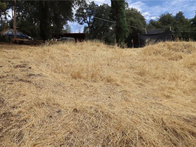 12871 Lakeview Drive