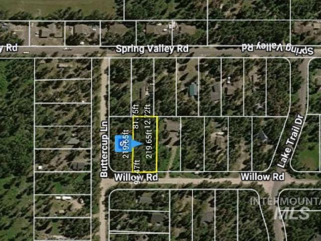 12886 Willow