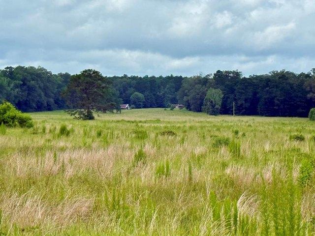 1289 Camp Springs Rd, Hemphill, TX 75948