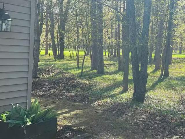 1289 LAKEWOOD, gailord, MI 49735 Vacant Land For Sale MLS# 20.