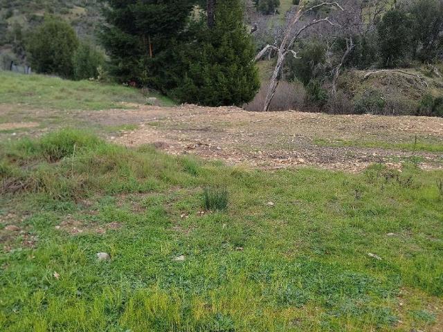 12803 Tomki Rd, Redwood Valley, CA 95470 | MLS #326010