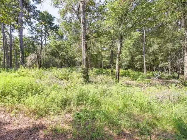12800 Birch Ln, Plantersville, TX 77363 MLS 91312875
