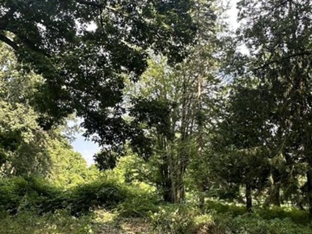 12800 Minges Rd S, Battle Creek, MI 49015