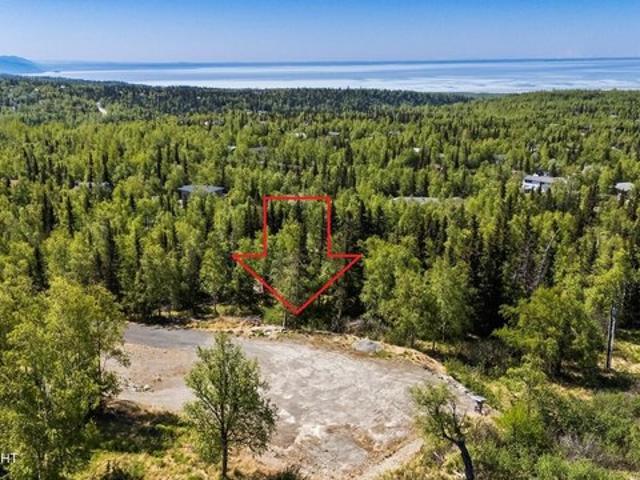 12801 Midori Dr, Anchorage, AK 99516