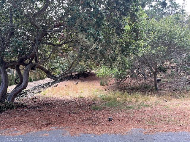 1280 Warren Road
