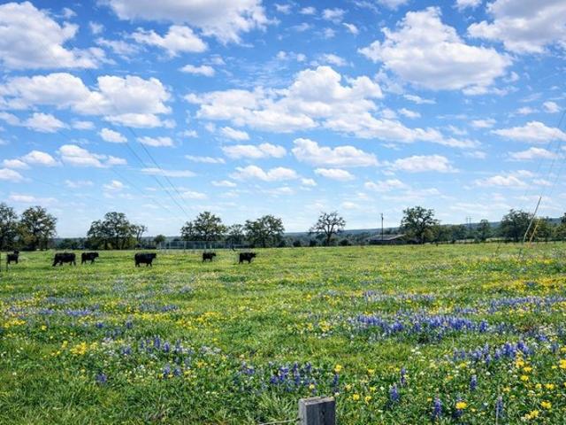 12811 E US Highway 79, Oakwood, TX 75855