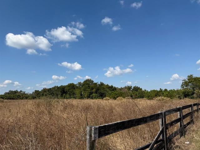 12828 Fort King Hwy, Thonotosassa, FL 33592 | MLS #TB8401