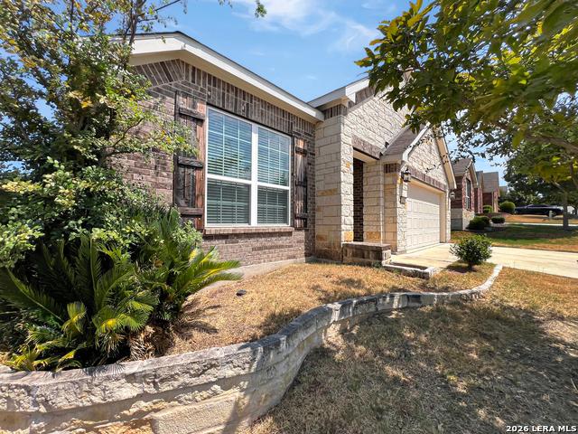 12839 Laurel Brush