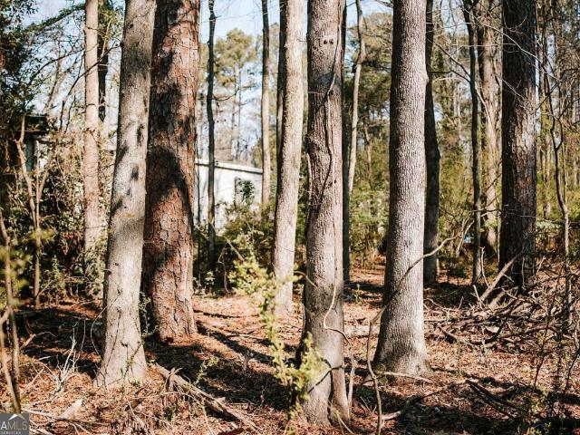 1283 Cedar Shoals Drive