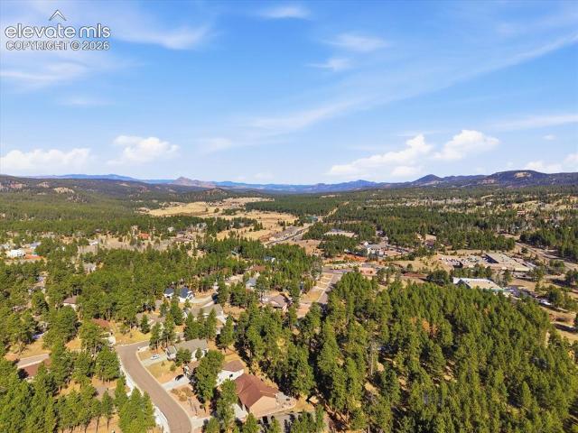 1283 Firestone Dr, Woodland Park, CO 80863 | MLS #2798