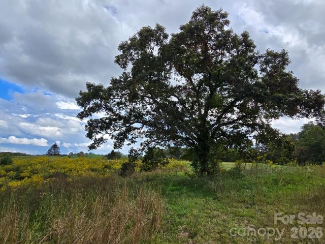 128 Cook Lane # 25 Acres