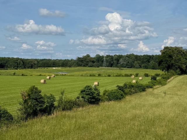 128 Copperas Creek Rd, Tullahoma, TN 37388 | MLS #2906