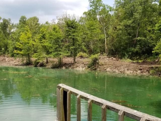 128 Acres In Palmetto, LA 71358 | MLS #2600003 | Compass