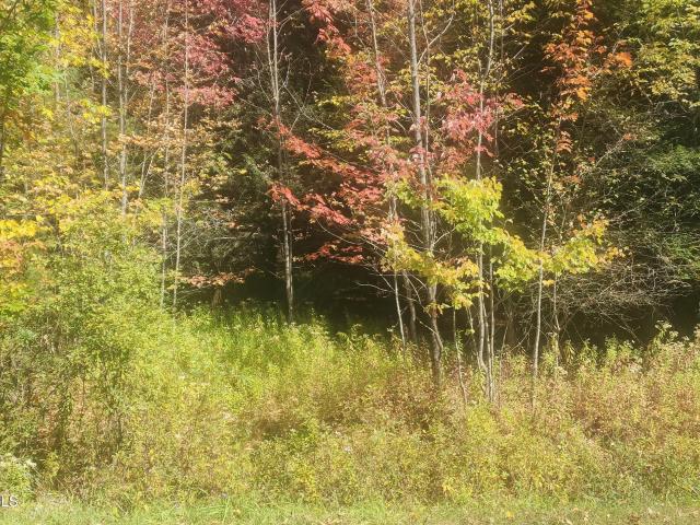 128 Brittany Hill Road