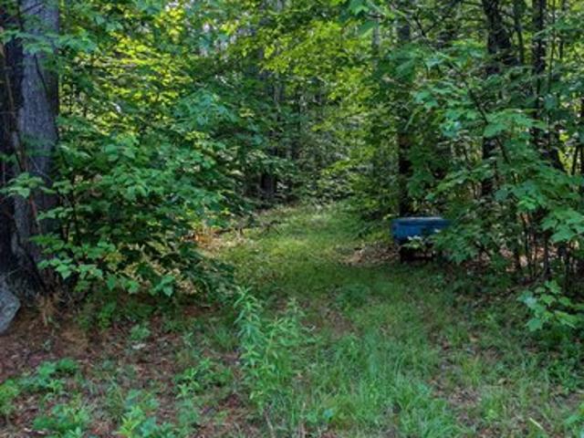 128 Brock Hill Rd, Grafton, NH 03240