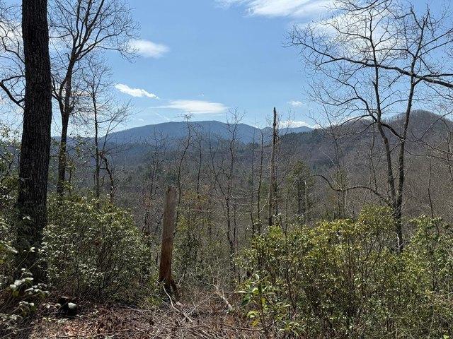 128 Mamies Way, Robbinsville, NC 28771