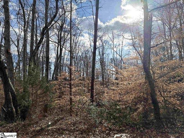 128 Willow Pond Ln, Piedmont, SC 29673