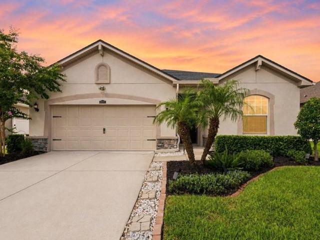 12943 Satin Lily Dr, Riverview, FL 33579