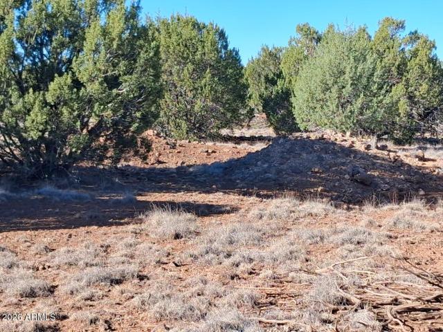 1294 Geronimo Dr, Show Low, AZ 85901 | Compass