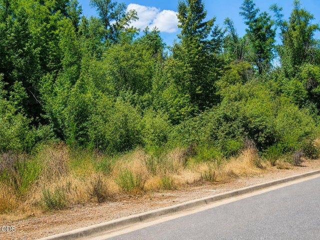 1294 Golf Club Dr, Cave Junction, OR 97523