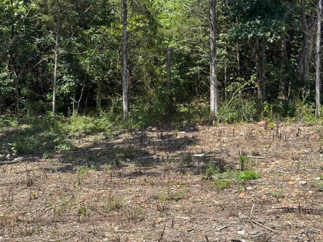 12952 Hwy 5 Highway