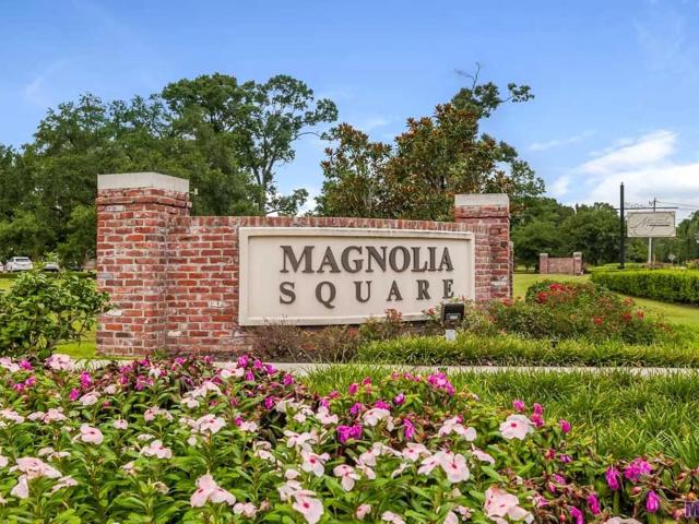 12958 Magnolia Square Dr, Central, LA 70818 | MLS #BR2026005