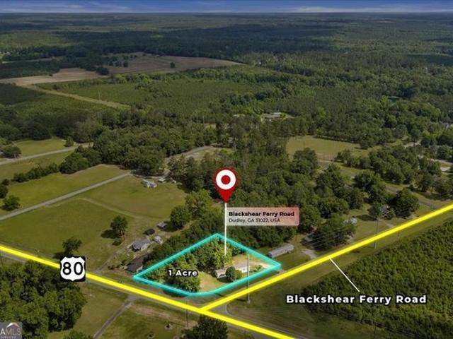 1295 Blackshear Ferry Rd, Dudley, GA 31022