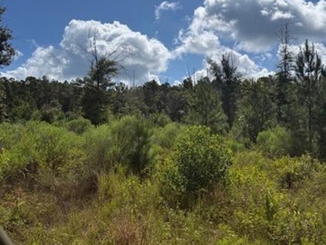 12964 County Road 1027, Newton, TX 75966