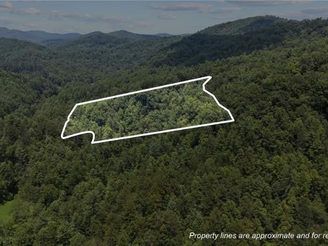 1296 Sheets Gap Road