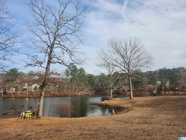 12974 Alpine Cir, Lakeview, AL 35111