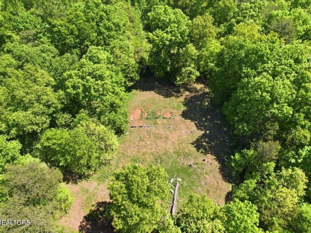 1297 Clinch River Rd