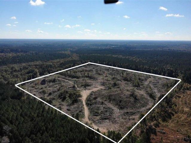 1297 Shiloh Rd Lot 1, Bienville, LA 71008