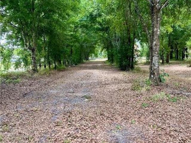 1298 Old Bradenton Rd, Wauchula, FL 33873