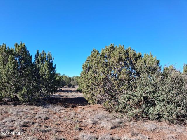1298 Geronimo Dr, Show Low, AZ 85901 | MLS #7009 | Compass