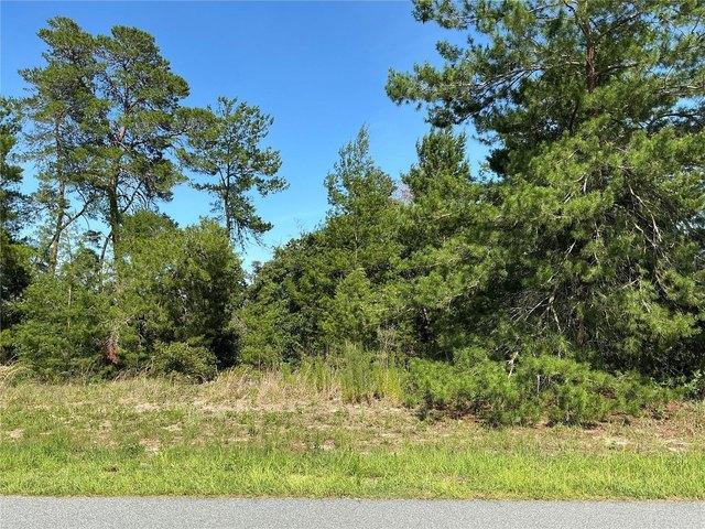 12995 SW 35th Avenue Rd, Ocala, FL 34473