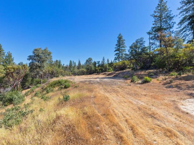 12996 Deadmans Flat Rd, Grass Valley, CA 95945 | MLS #226038