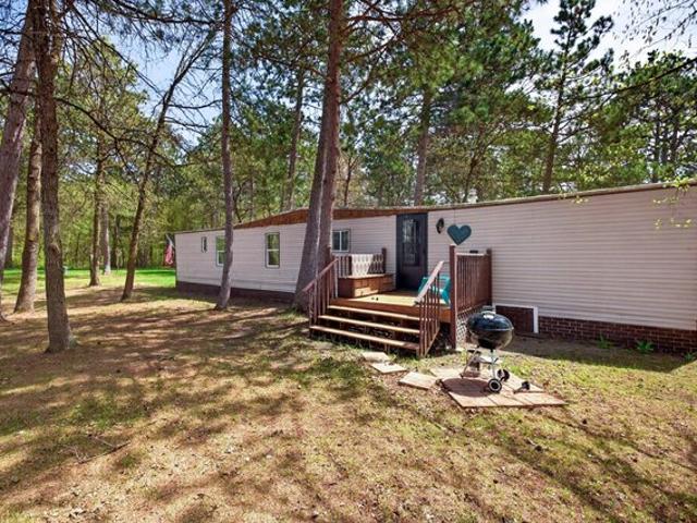 12905 Buckhorn Trl, Menahga, MN 56464