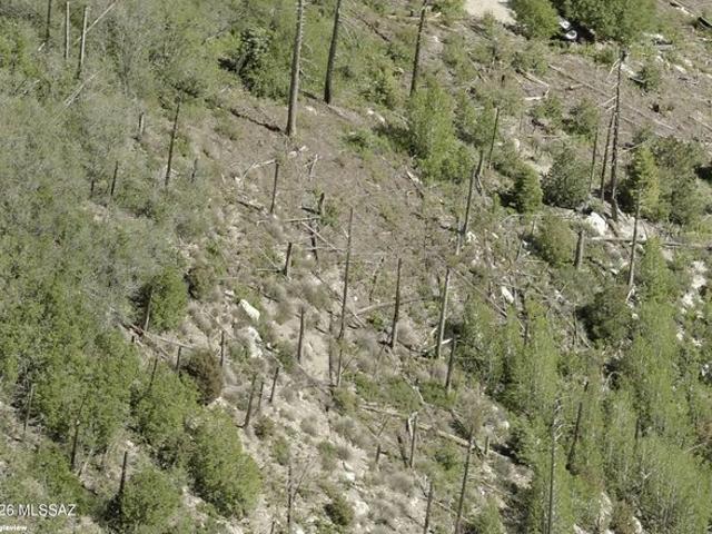 12909 N Winkelman Ave, Mount Lemmon, AZ 85619