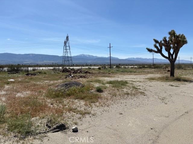 1290 Highway 18