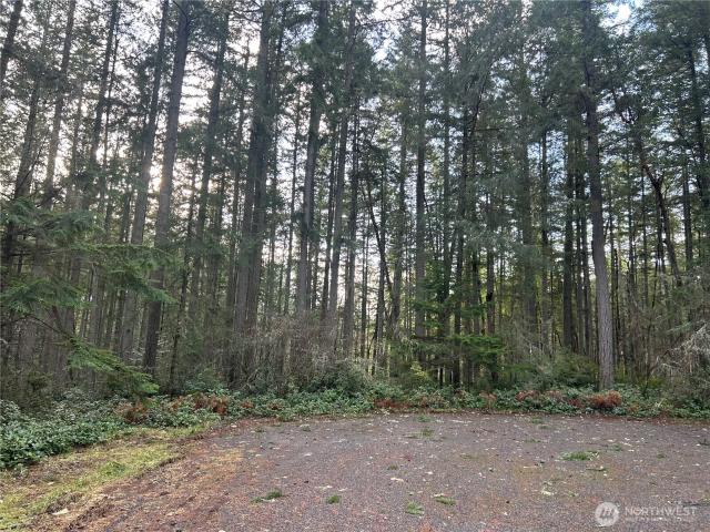 12914 st Ct, Anderson Island, WA 98303 | MLS #2461 | Compass