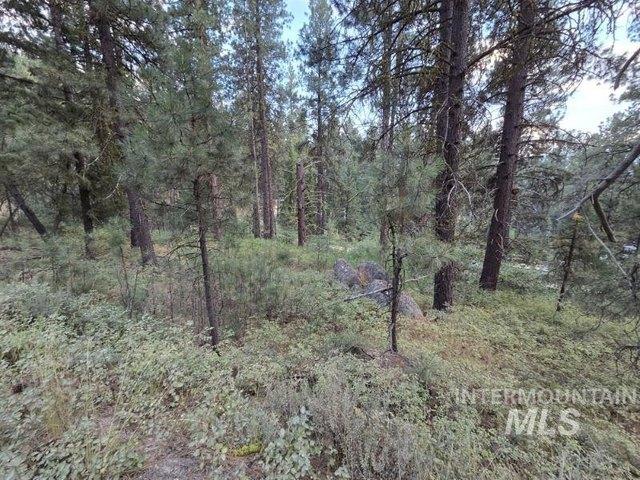 1291 Crown Point Pkwy, Cascade, ID 83611
