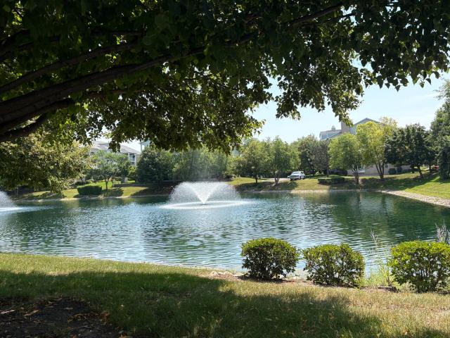 1291 W Lake Street # 302