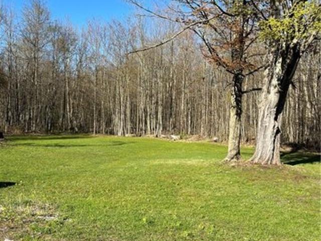 12920 Upton Rd, Red Creek, NY 13143
