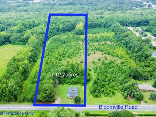 1292 Bloomville Rd, Manning, SC 29102
