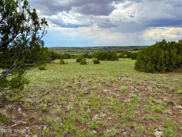129 Co Rd 8051