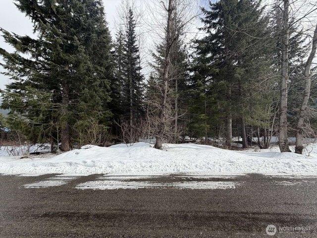 129 Chamonix Pl, Snoqualmie Pass, WA 98068