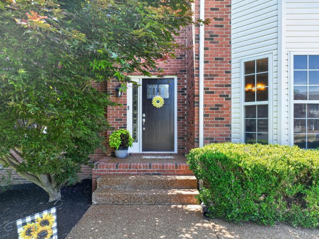 129 Deerview Dr