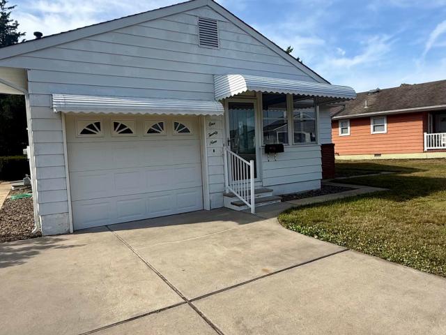 129 Fox Glove
